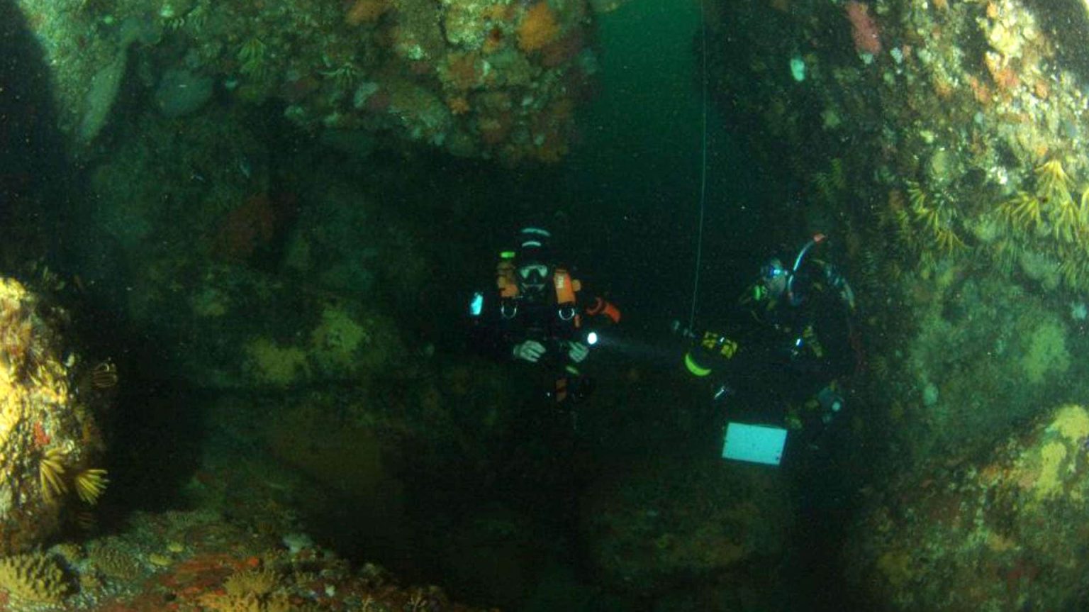 The ultimate Cave Diving guide 2026 - Social Diving