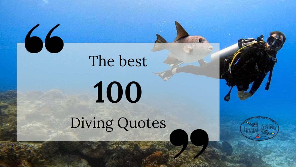 The 100 best diving quotes - Social Diving