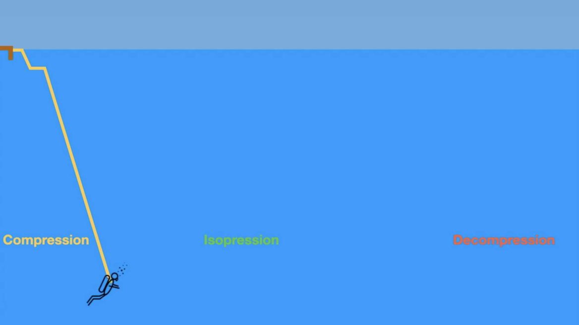 The 3 phases of a dive - Social Diving