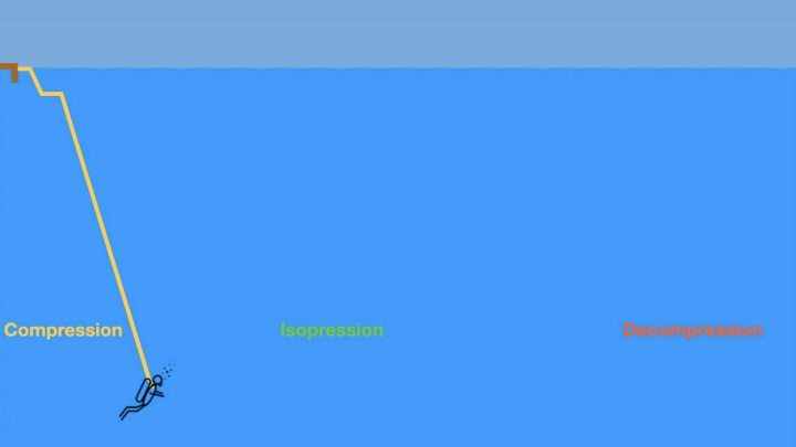 The 3 phases of a dive - Social Diving