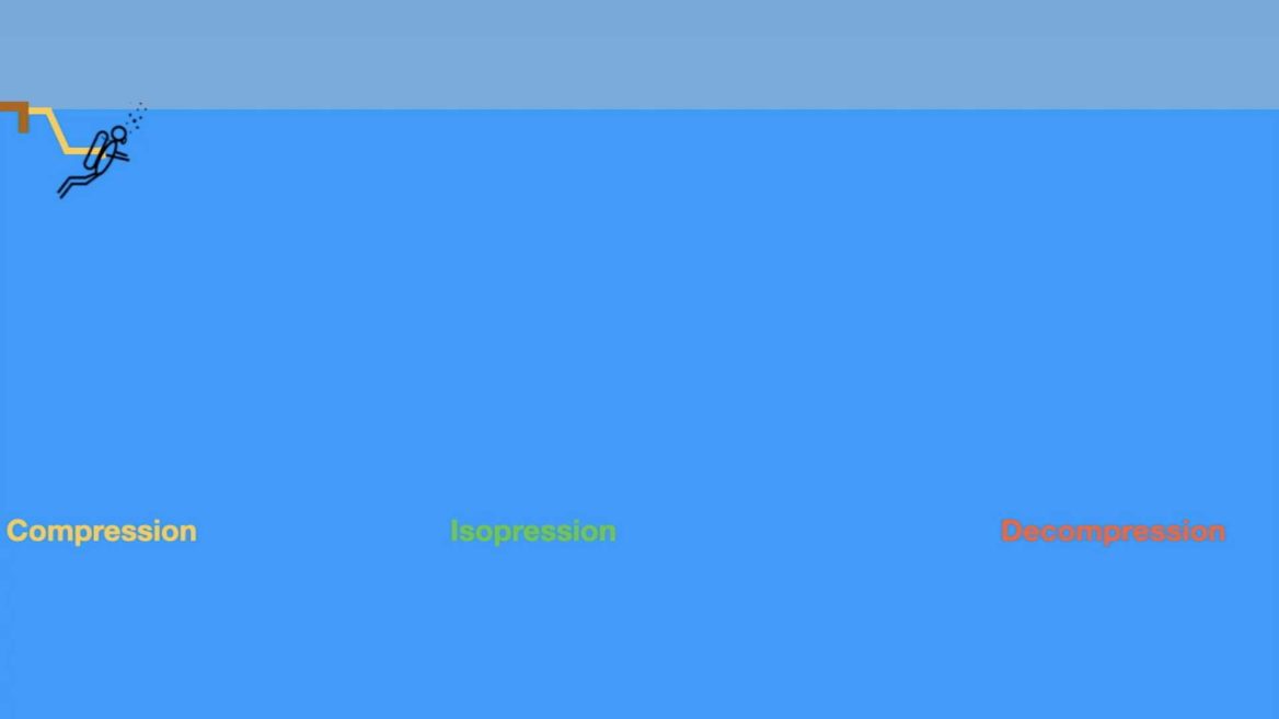 The 3 phases of a dive - Social Diving