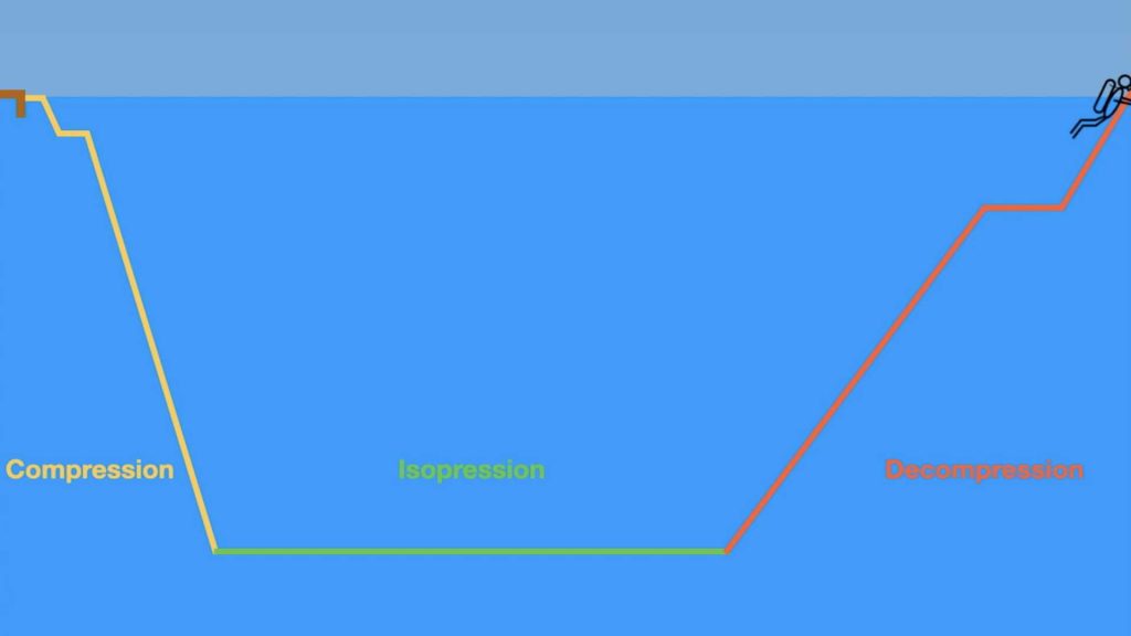 The 3 phases of a dive - Social Diving