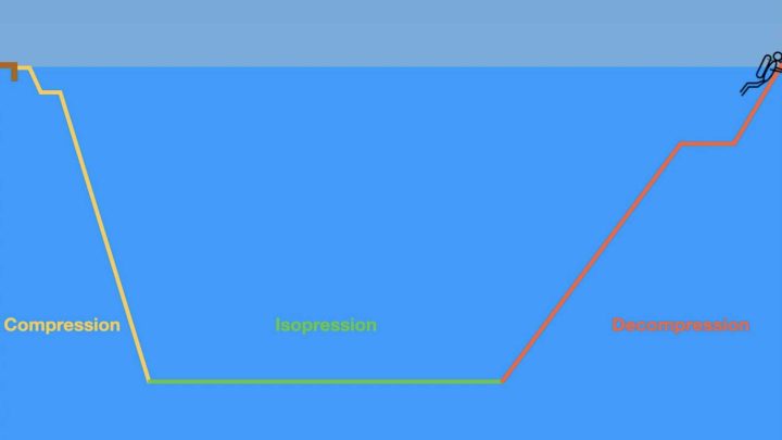 The 3 phases of a dive - Social Diving