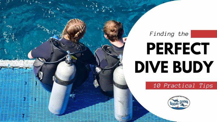 The perfect Dive Buddy: 10 tips - Social Diving