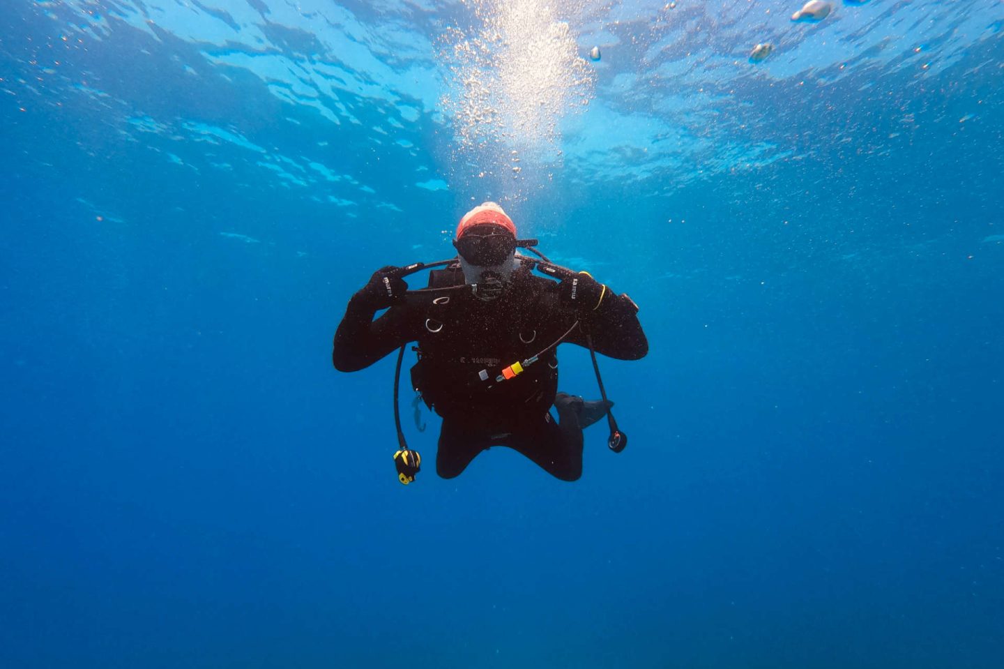 Finding a good dive guide - Social Diving