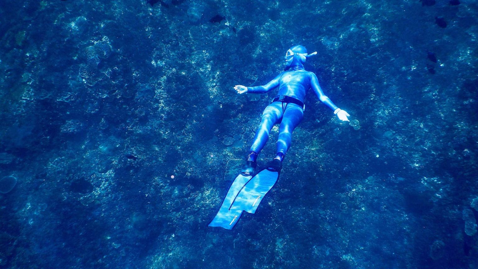 Basics of Freediving: The ultimate guide 2026 - Social Diving