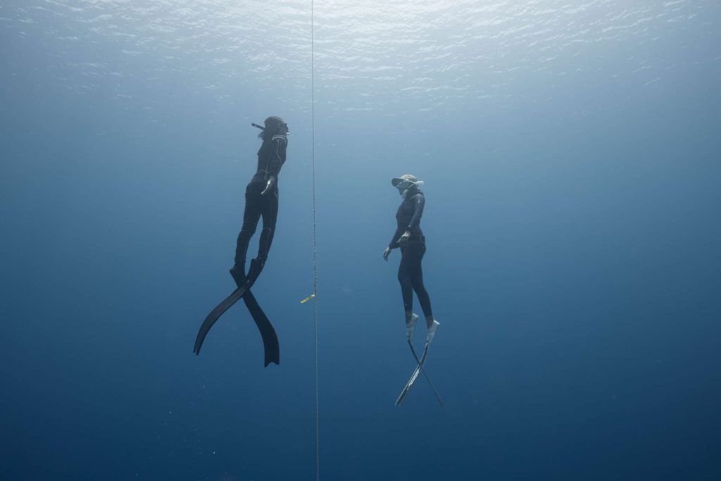 Basics of Freediving: The ultimate guide 2025 - Social Diving
