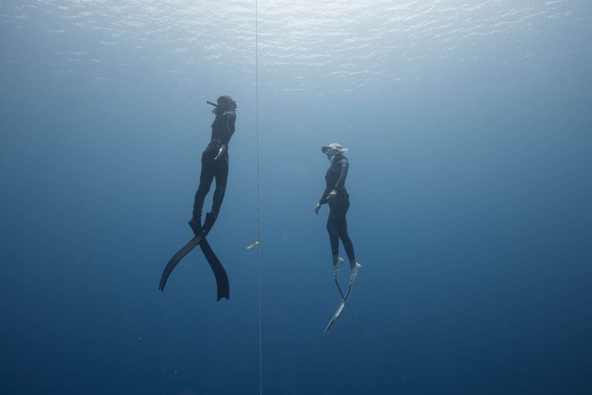Basics of Freediving: The ultimate guide 2026 - Social Diving