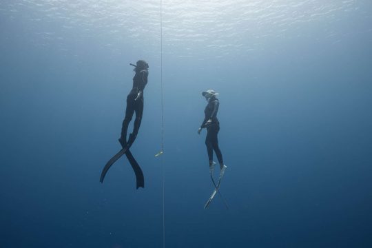 Freediving Records - Social Diving