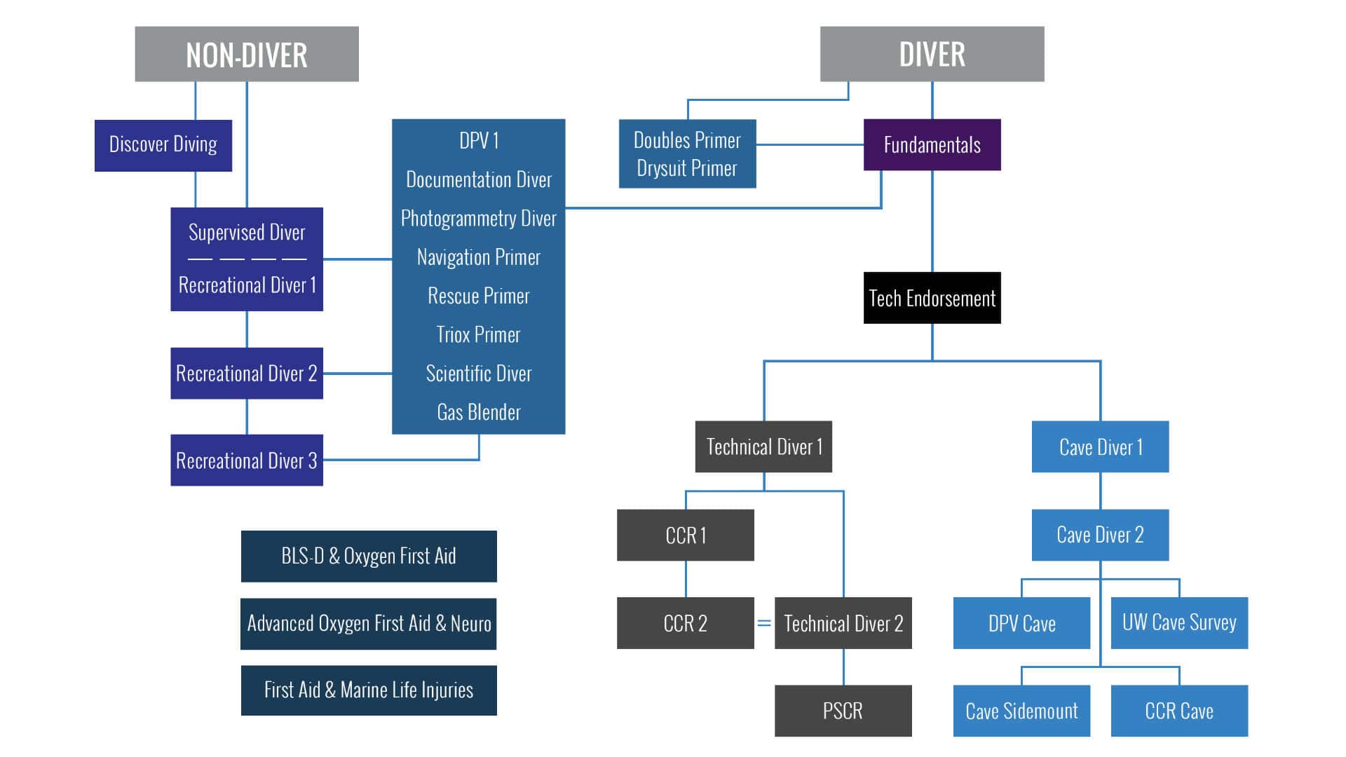 Best Scuba Training Agencies in 2024 - Social Diving