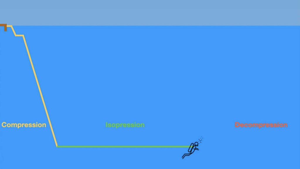 The 3 phases of a dive - Social Diving