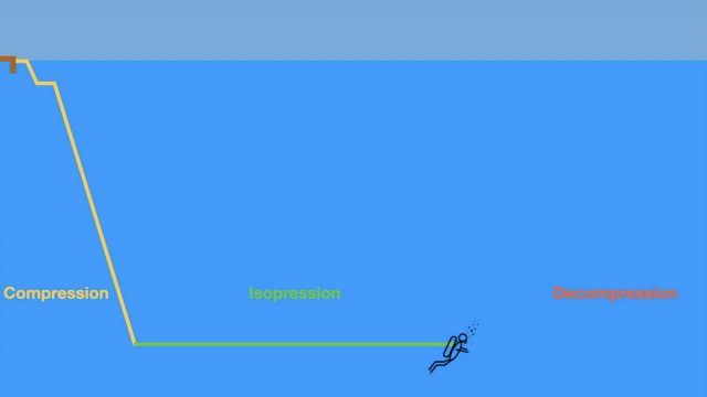 The 3 phases of a dive - Social Diving