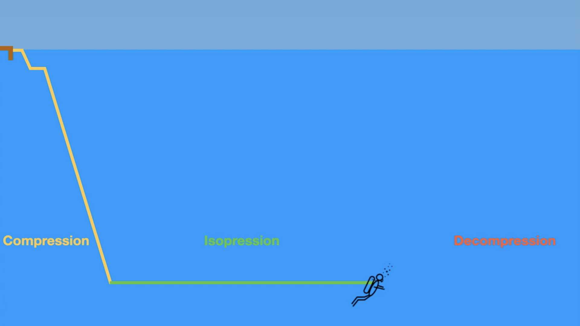 The 3 phases of a dive - Social Diving