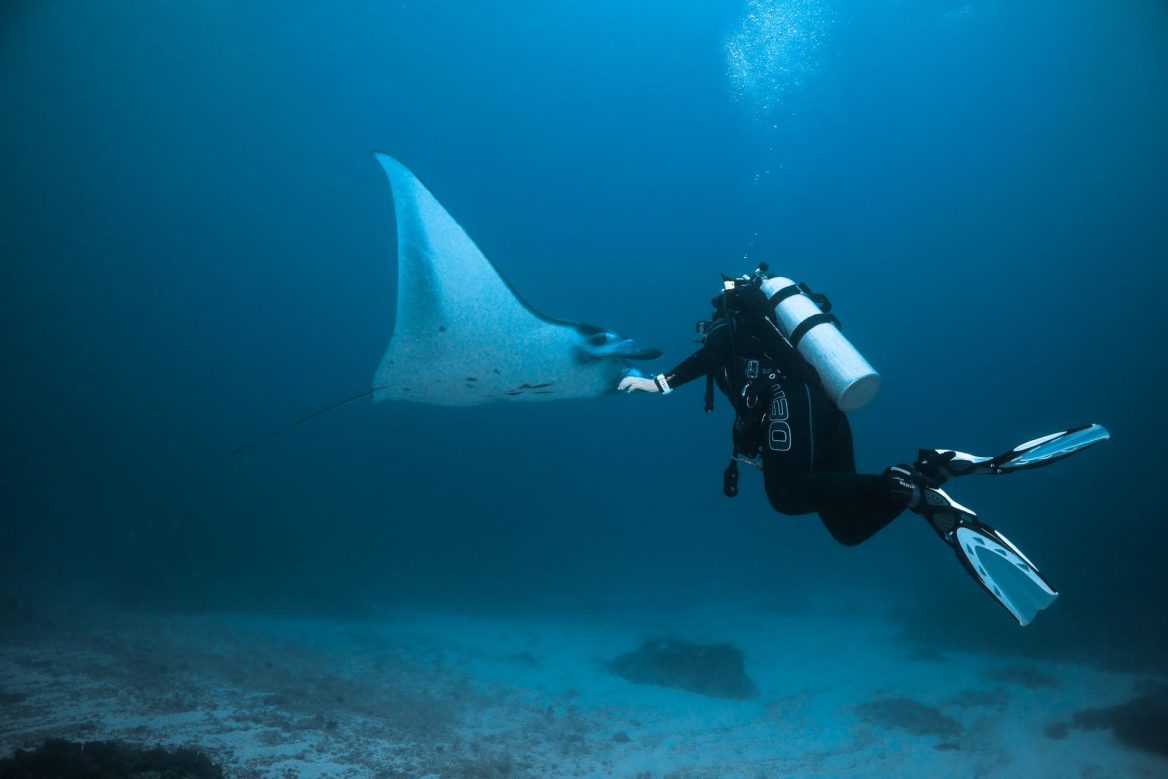 The Ultimate Scuba Diving Bucket List 2026: Experiences of a Lifetime ...