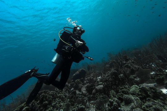 Finding a good dive guide - Social Diving